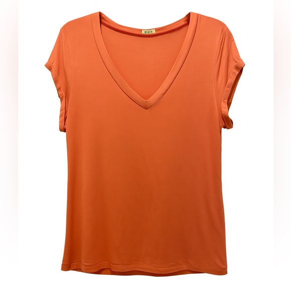 POL | Tops | Pol Coral Vneck Rolled Sleeve Tee Size Small Nwt | Poshmark